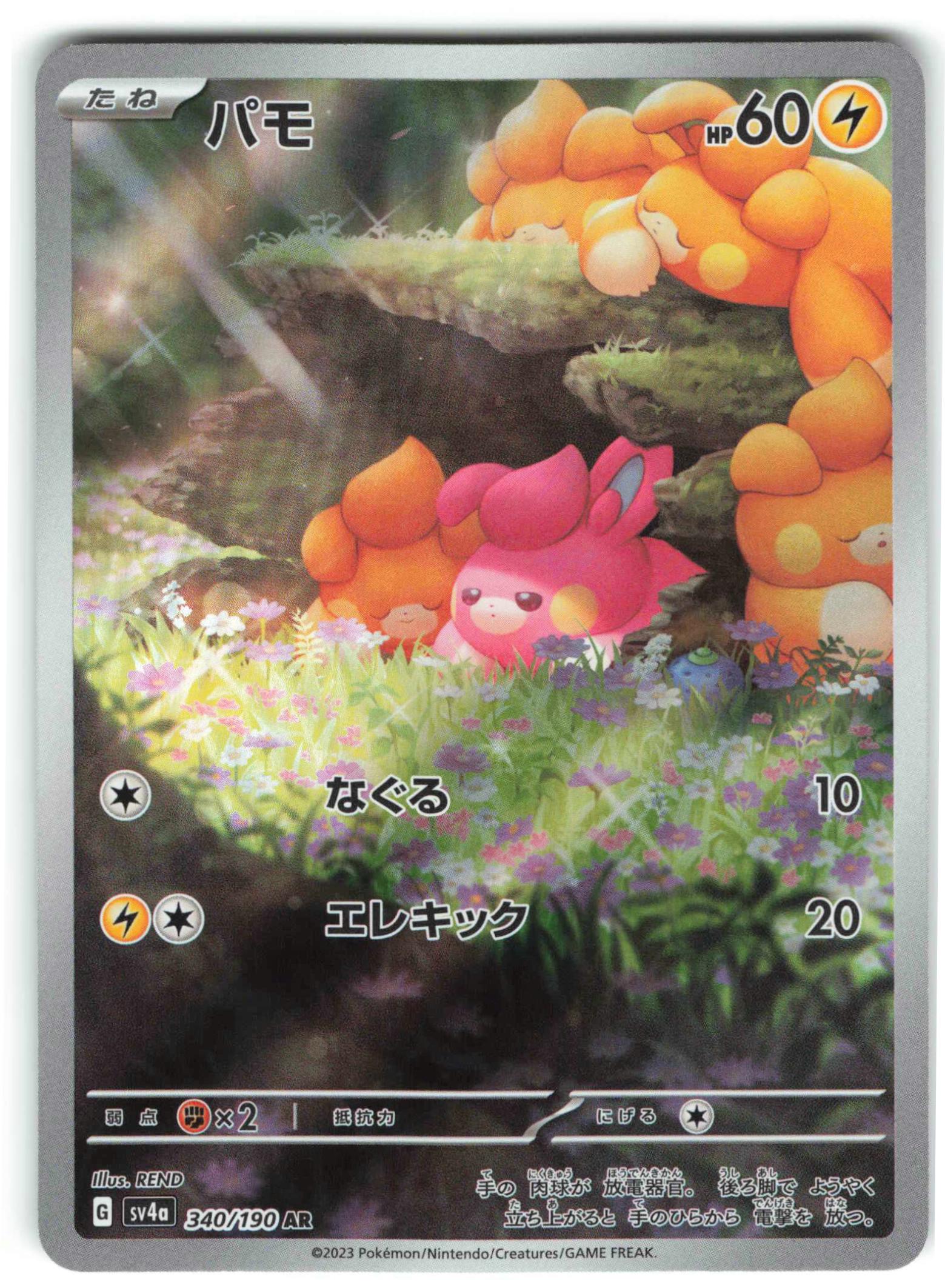 Pokemon SV4a 340/190 パモ AR | まんだらけ Mandarake