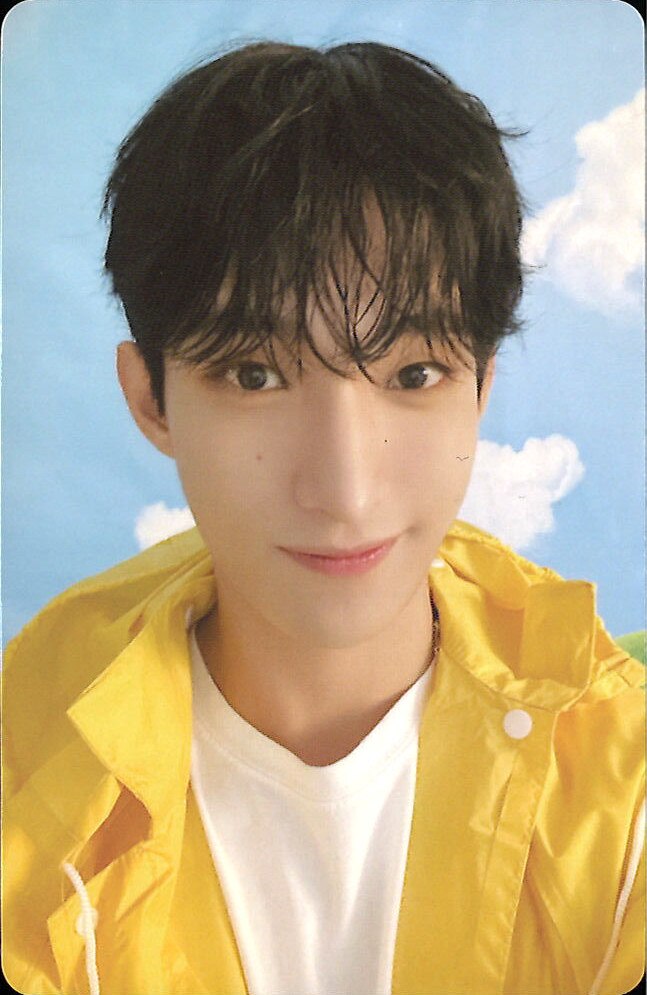 SEVENTEEN DK SEVENTEENTH HEAVEN CARAT | まんだらけ Mandarake