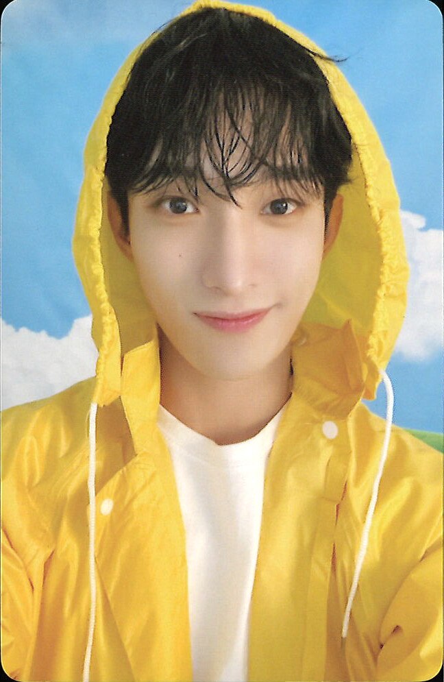 SEVENTEEN DK SEVENTEENTH HEAVEN CARAT | まんだらけ Mandarake