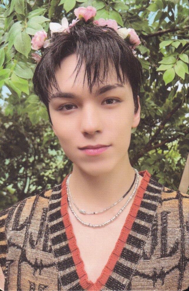 SEVENTEEN VERNON SEVENTEENTH HEAVEN PM2:14 | まんだらけ Mandarake