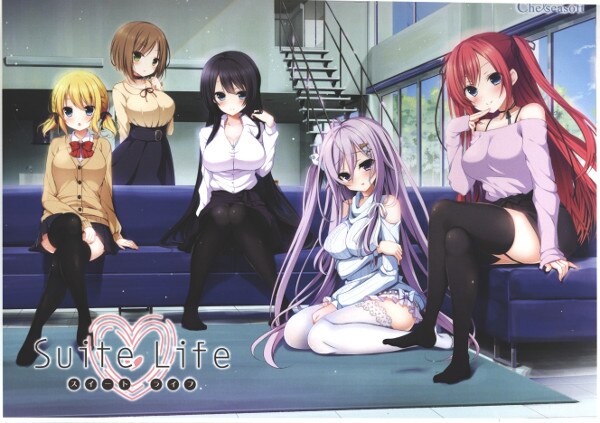 Chelseasoft SUITE LIFE | まんだらけ Mandarake