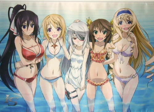 TBS 真夏のタペストリー | まんだらけ Mandarake