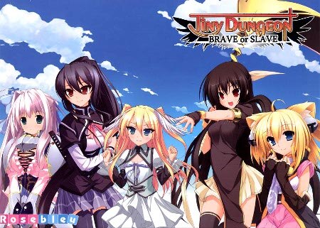 Rosebleu Tiny Dungeon -BRAVE or SLAVE- ※ディスク傷 | まんだらけ Mandarake