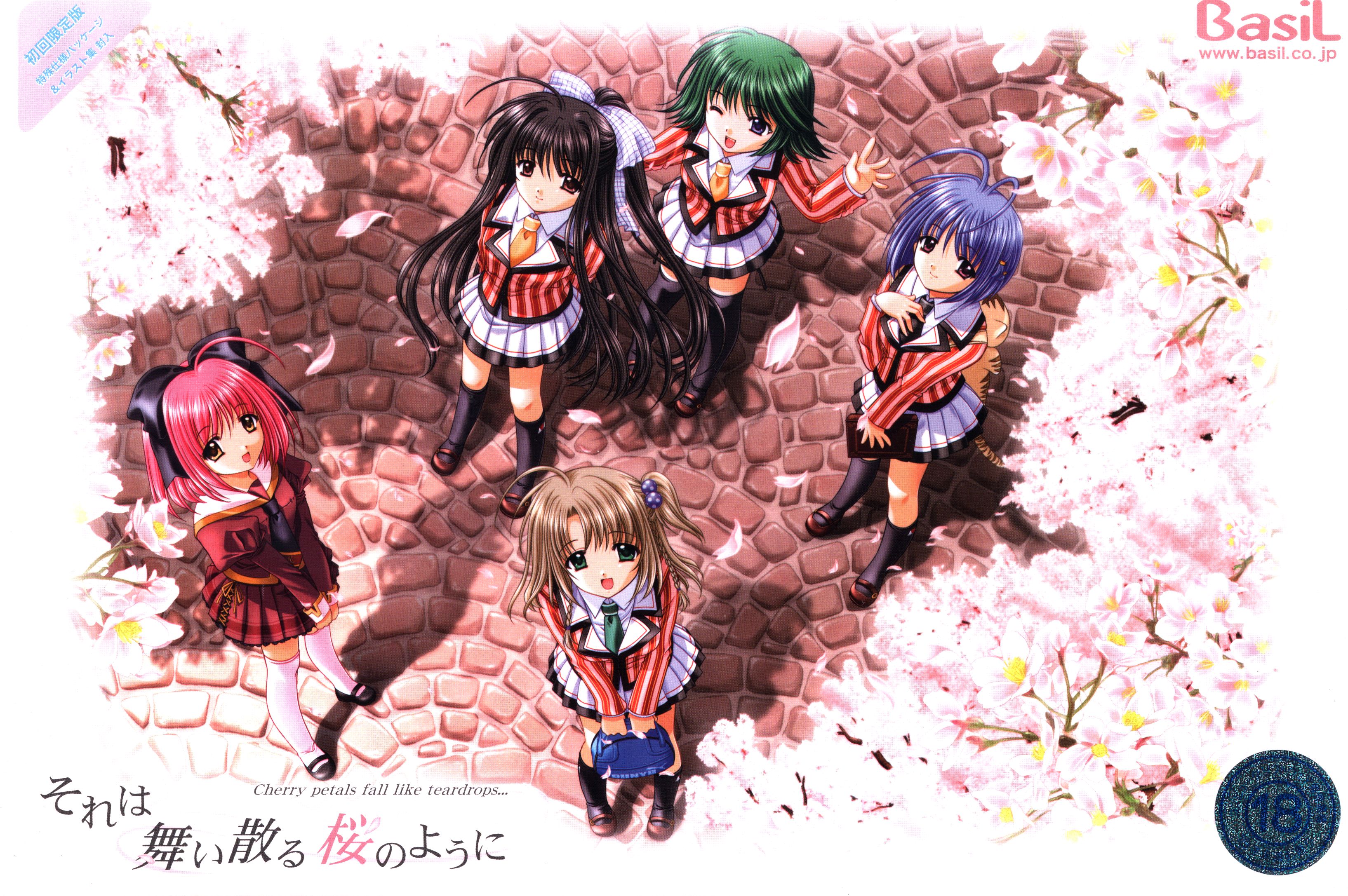 BasiL それは舞い散る桜のように(CD-ROM 初回版) | まんだらけ Mandarake