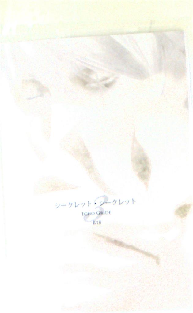 Echo Gride (ななへい) シークレット・シークレット 3 | まんだらけ Mandarake