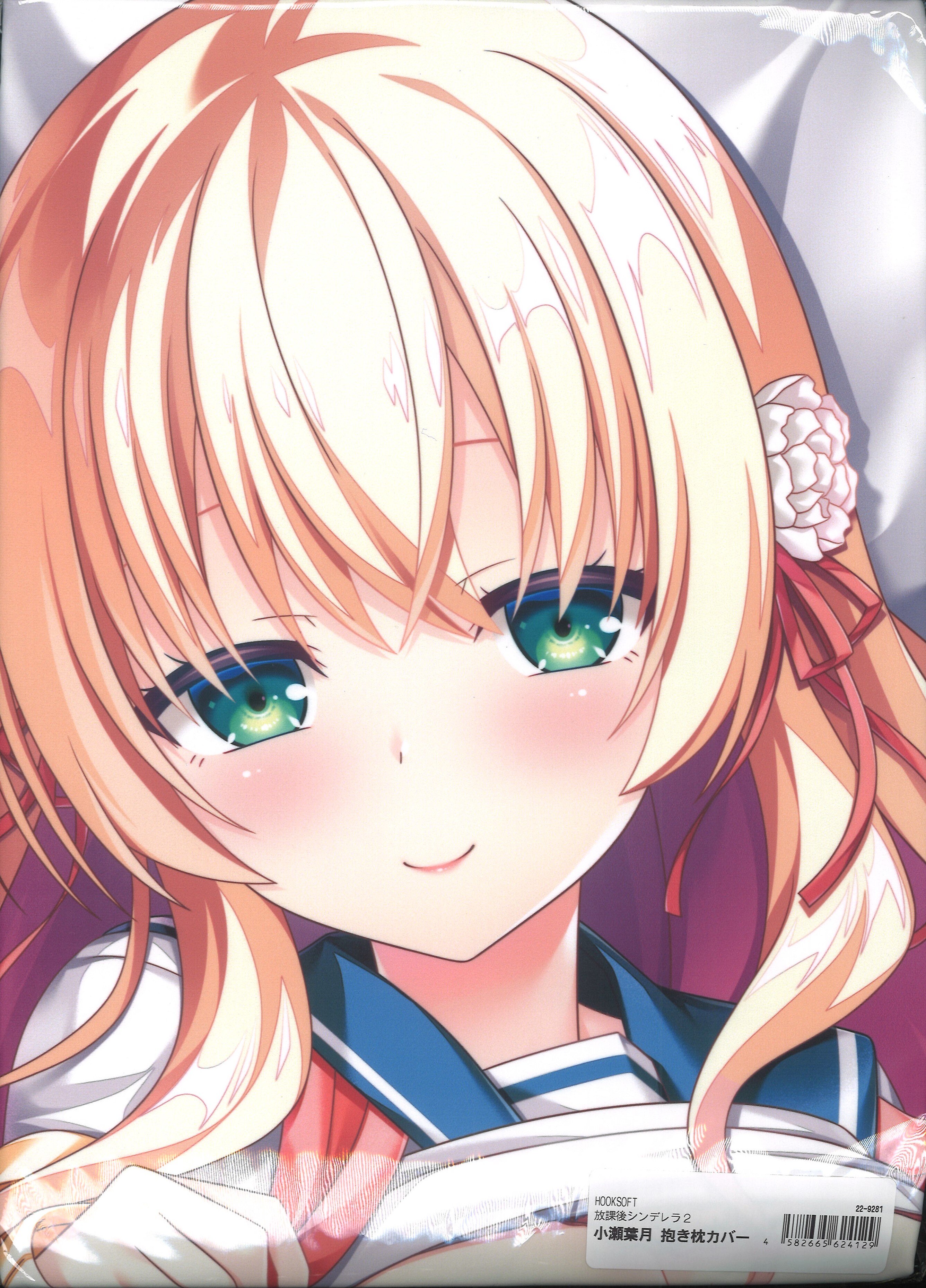 HOOKSOFT (RINKS) 小瀬葉月抱き枕カバー | まんだらけ Mandarake