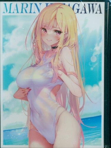 Cake Rabbits (Hong) 「その着せ替え人形は恋をする」 COMIC1☆20 水着海夢カードスリーブ | まんだらけ Mandarake