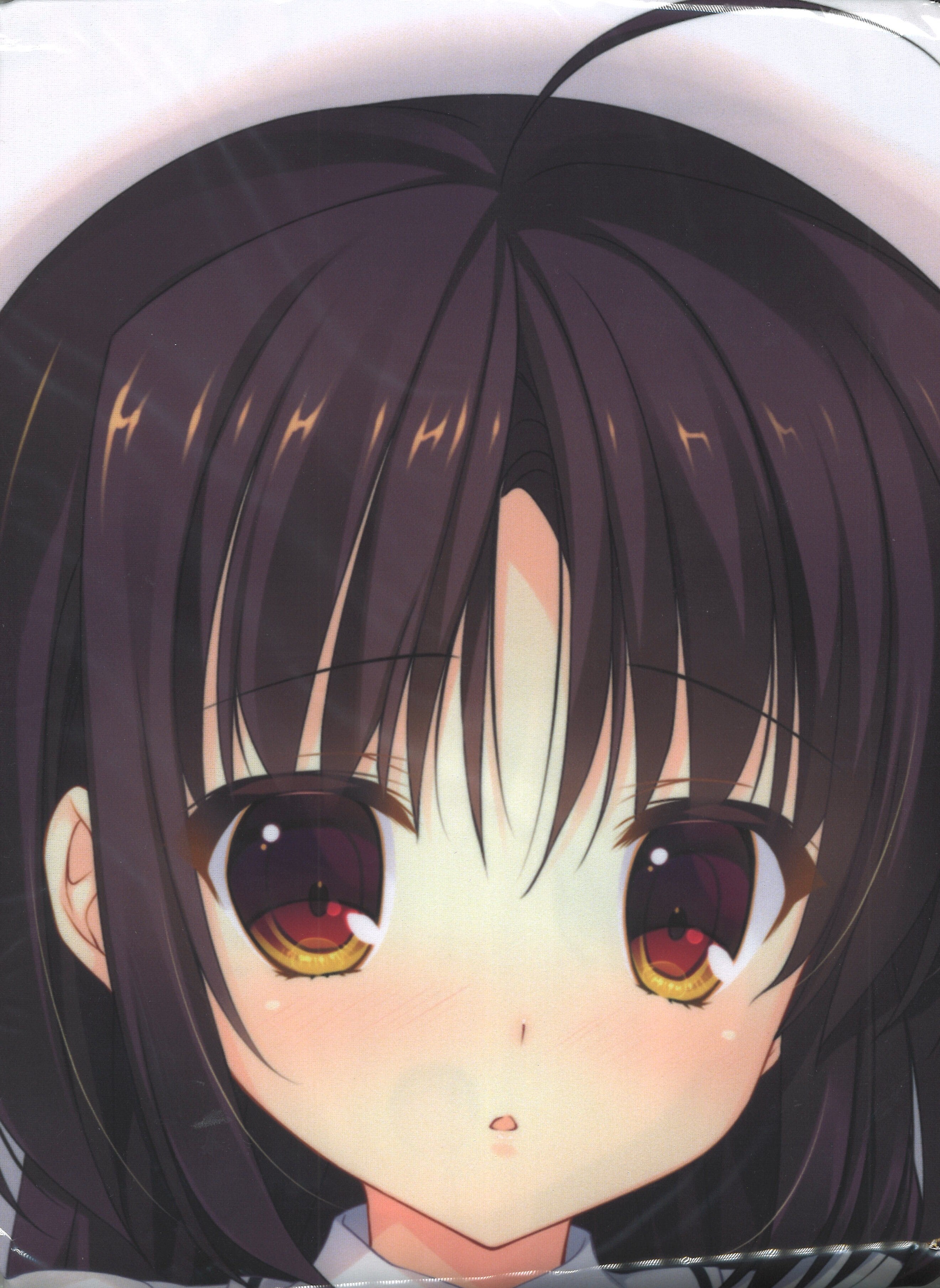 NanaWind 春音アリス*グラム Dカップ健気で真面目な妹 才城かりん抱き枕カバー(リメイクver) | まんだらけ Mandarake