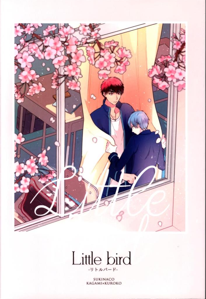 sukinaco (今井) Little Bird リトルバード | まんだらけ Mandarake