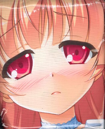 APRICOT (TOMA) ソフマップ特典抱き枕カバー 抱き枕 | まんだらけ Mandarake