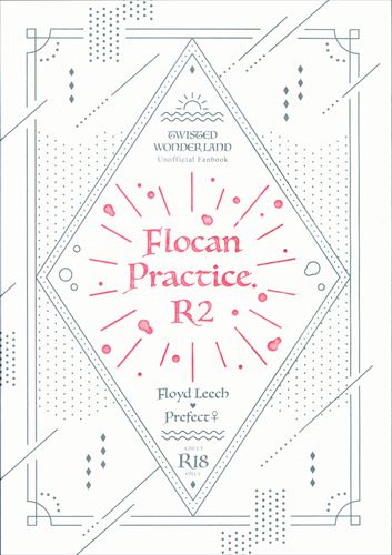 メガキノ (G) Flocan Practice R2 | まんだらけ Mandarake