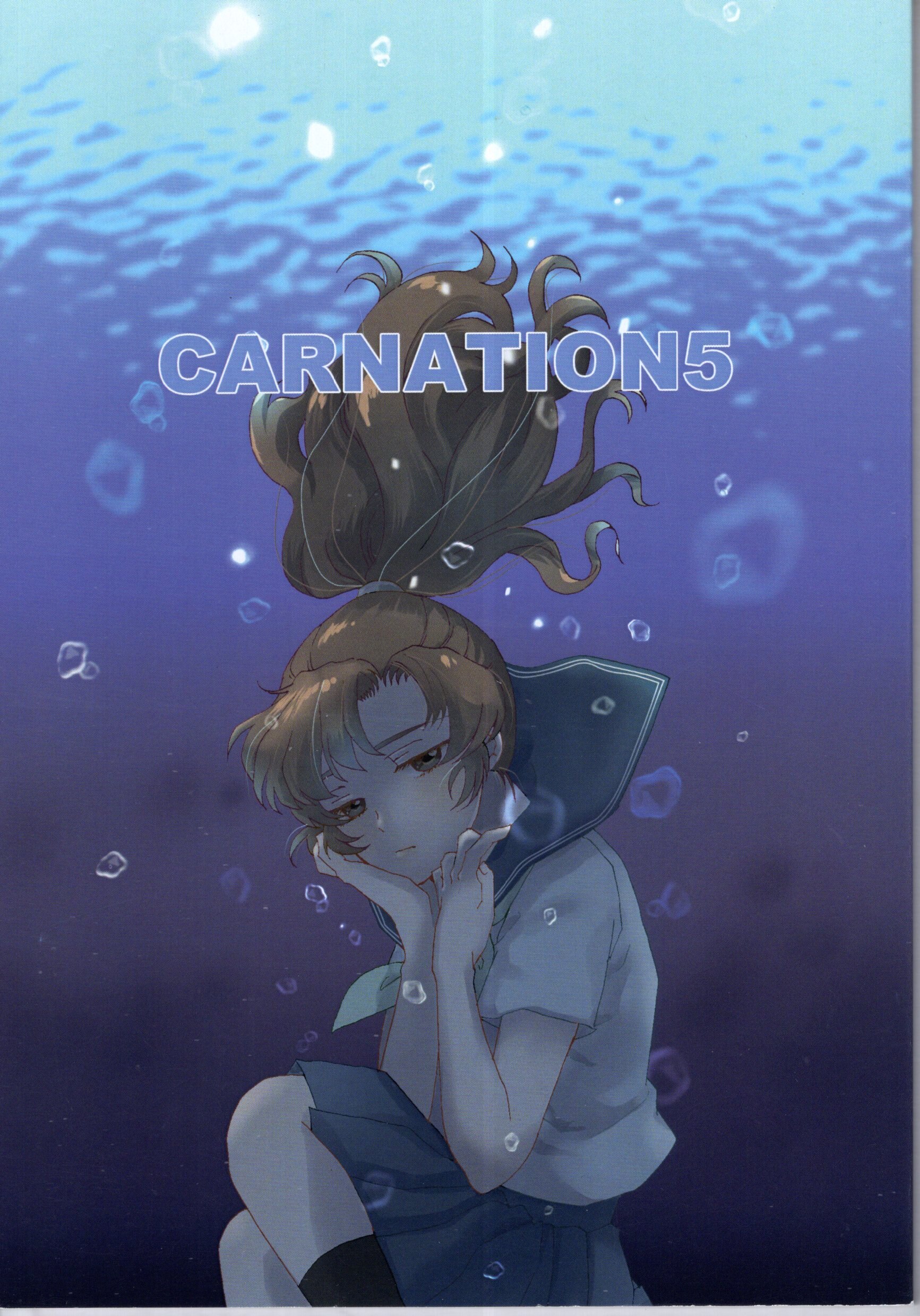 Baraniku (たんご) CARNATION 5 ※イタミ有 | まんだらけ Mandarake