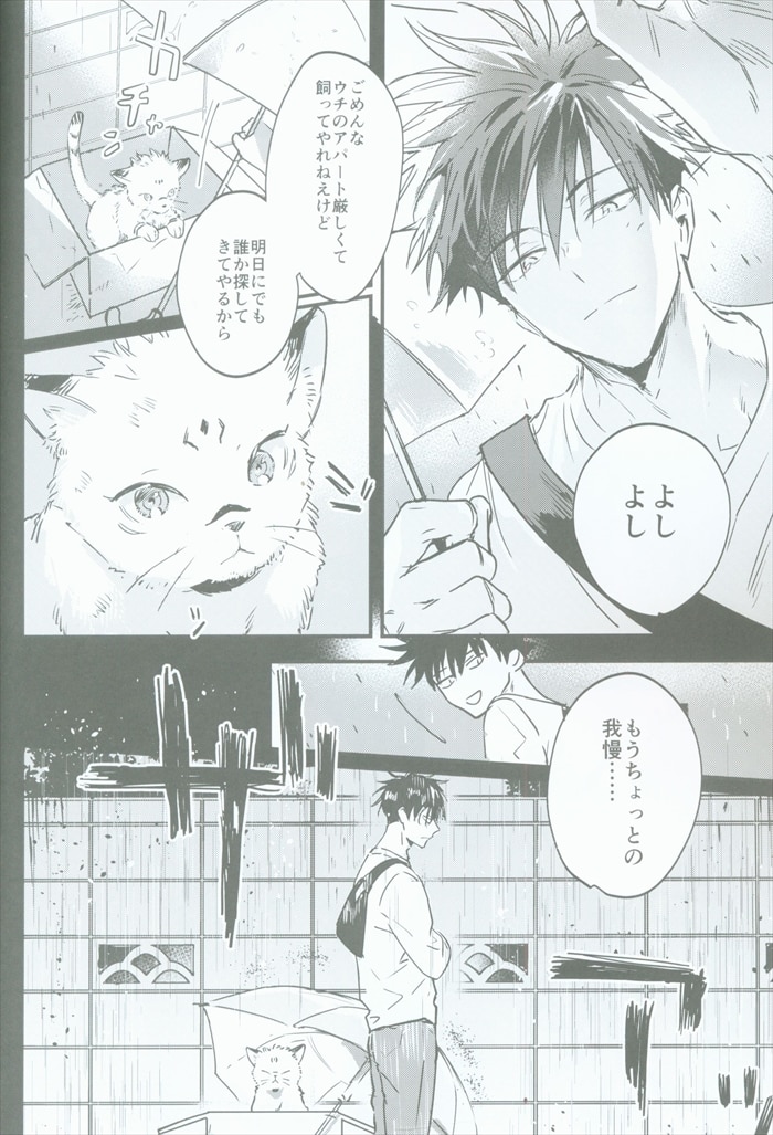 CANARY (bi) FUSHI TO NEKO | まんだらけ Mandarake