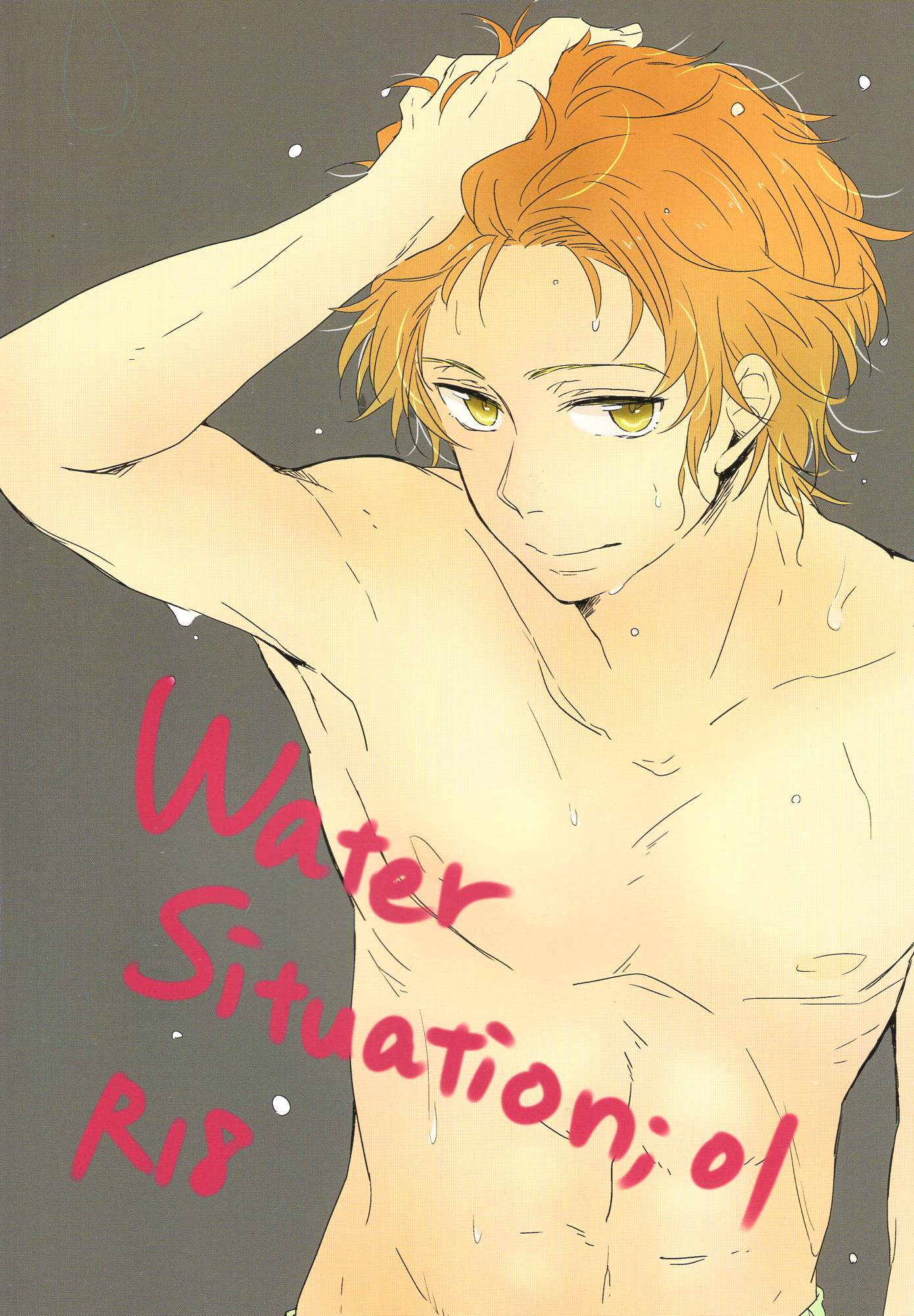 とらこつ (ひのはらとら) Water Situation 01 | まんだらけ Mandarake