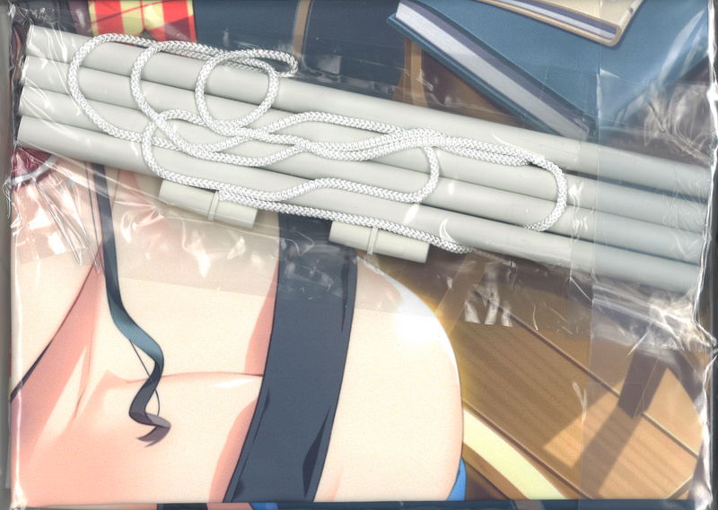 FG REMAKE (すめらぎ琥珀) 同級生2リメイク げっちゅ屋特典WスエードB2タペストリー | まんだらけ Mandarake