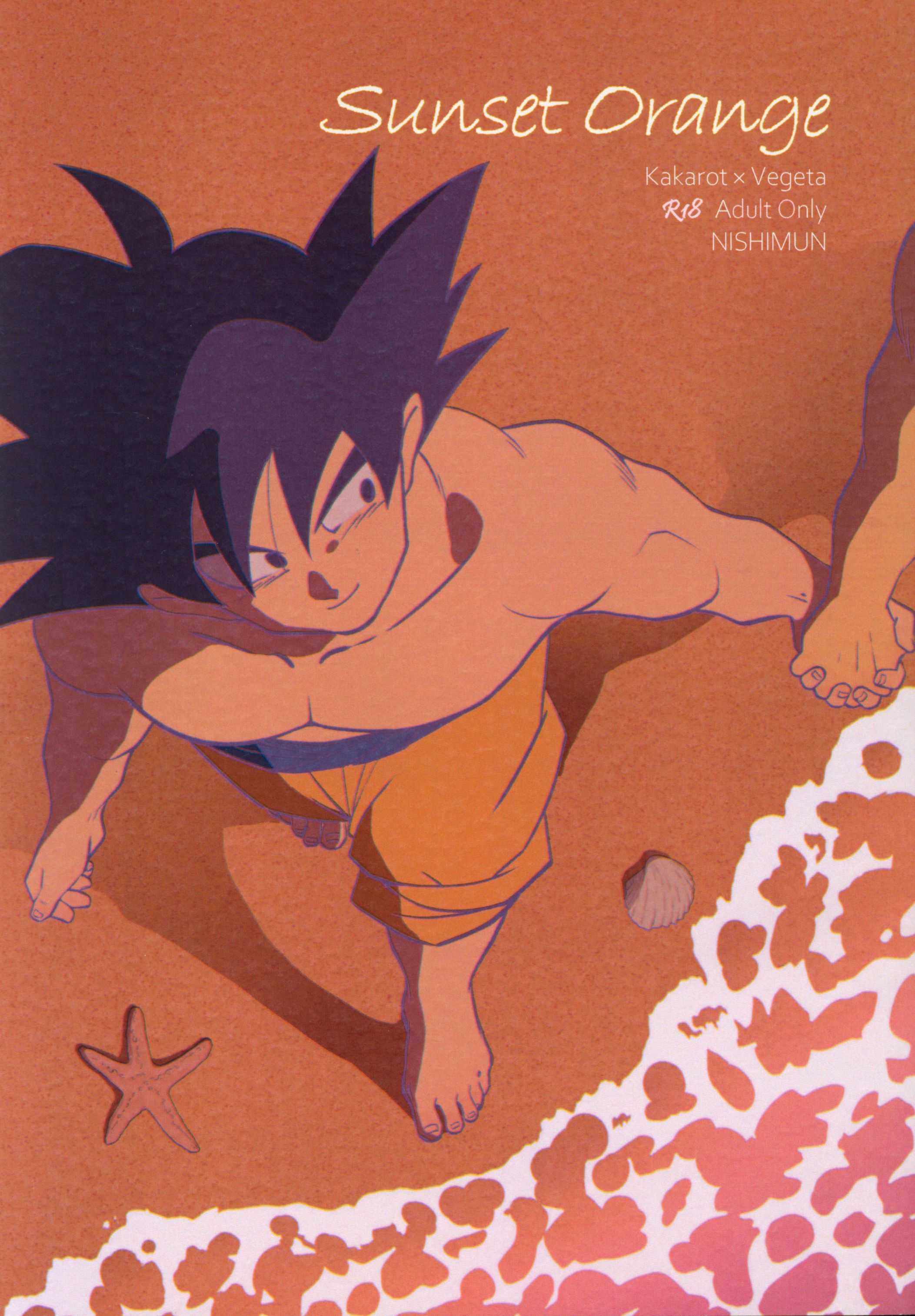 にしむん (二四六) Sunset Orange | まんだらけ Mandarake