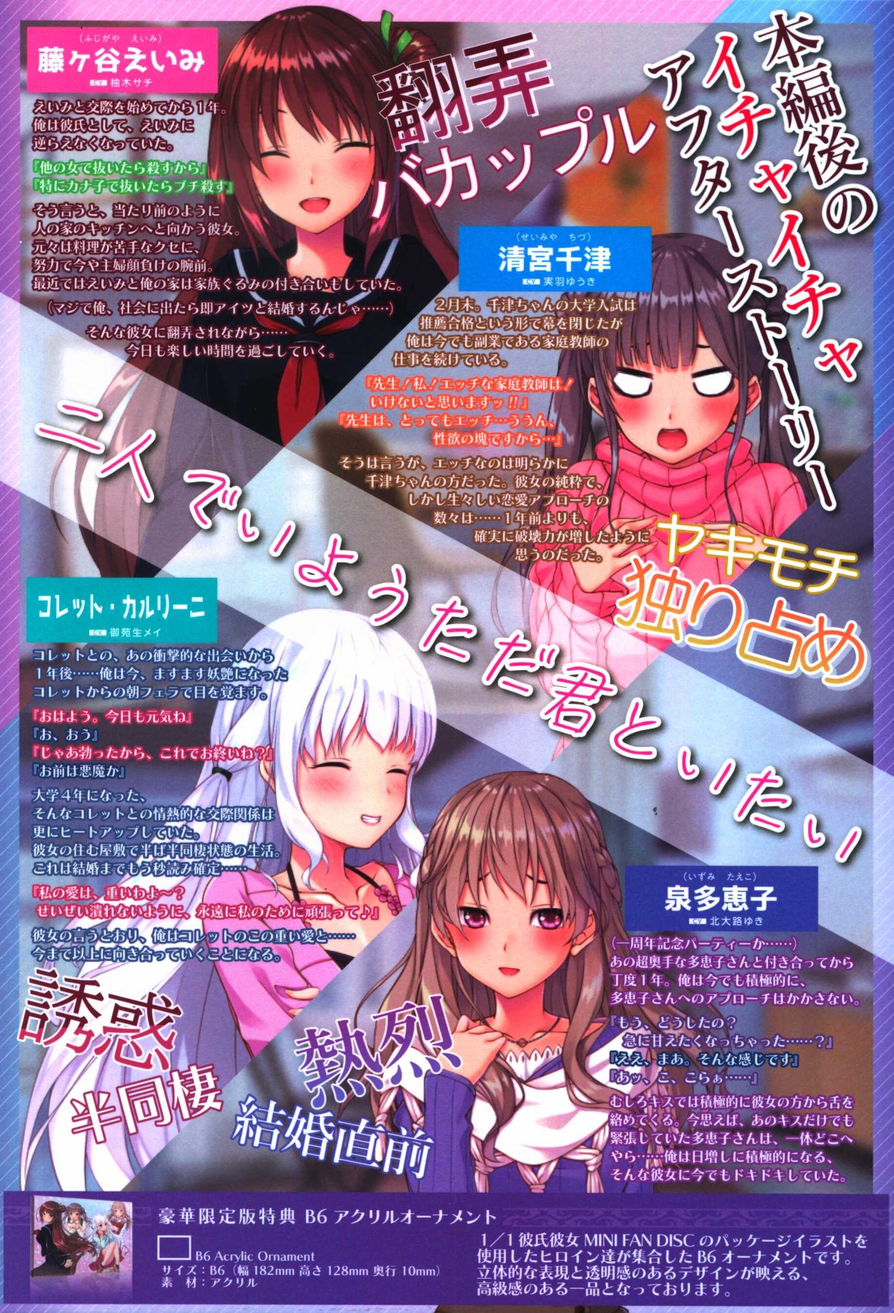 SMEE 1/1彼氏彼女 MiniFanDisc 豪華限定版 | まんだらけ Mandarake