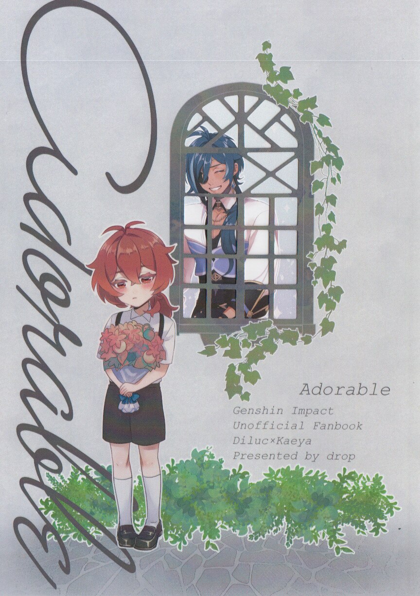 Drop (雫) Adorable | まんだらけ Mandarake
