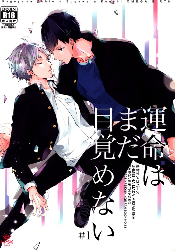 HPSK (えすけー) 運命はまだ目覚めない 1 | まんだらけ Mandarake