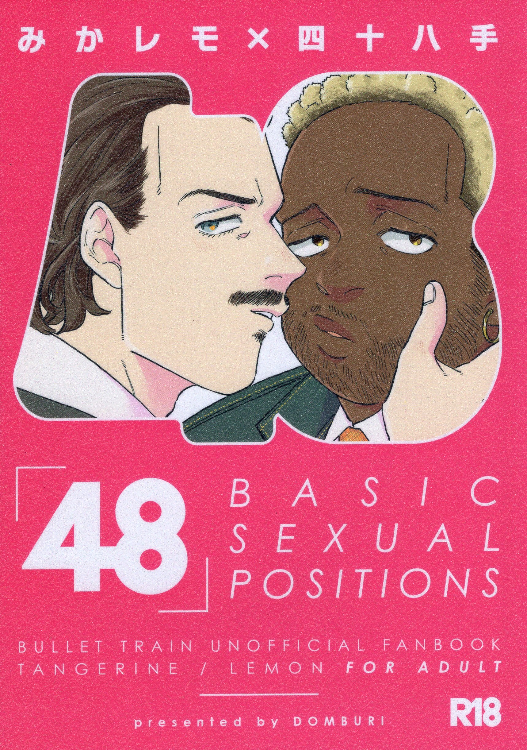 丼 (せちご) 「48」BASIC SEXUAL POSITIONS | まんだらけ Mandarake