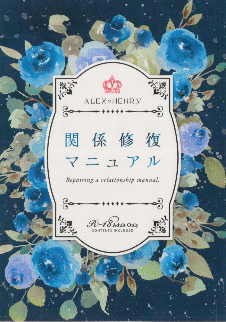 Ys BAR (WAI) 関係修復マニュアル | まんだらけ Mandarake