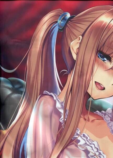 コアマガジン (ピロ水) メガストア25周年記念イラストB1タペストリー | まんだらけ Mandarake