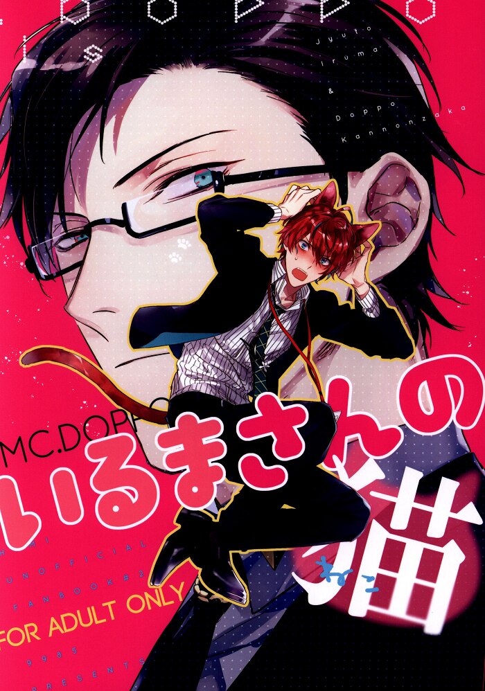 救急箱 (はことか) MC.DOPPOはいるまさんの猫 | まんだらけ Mandarake