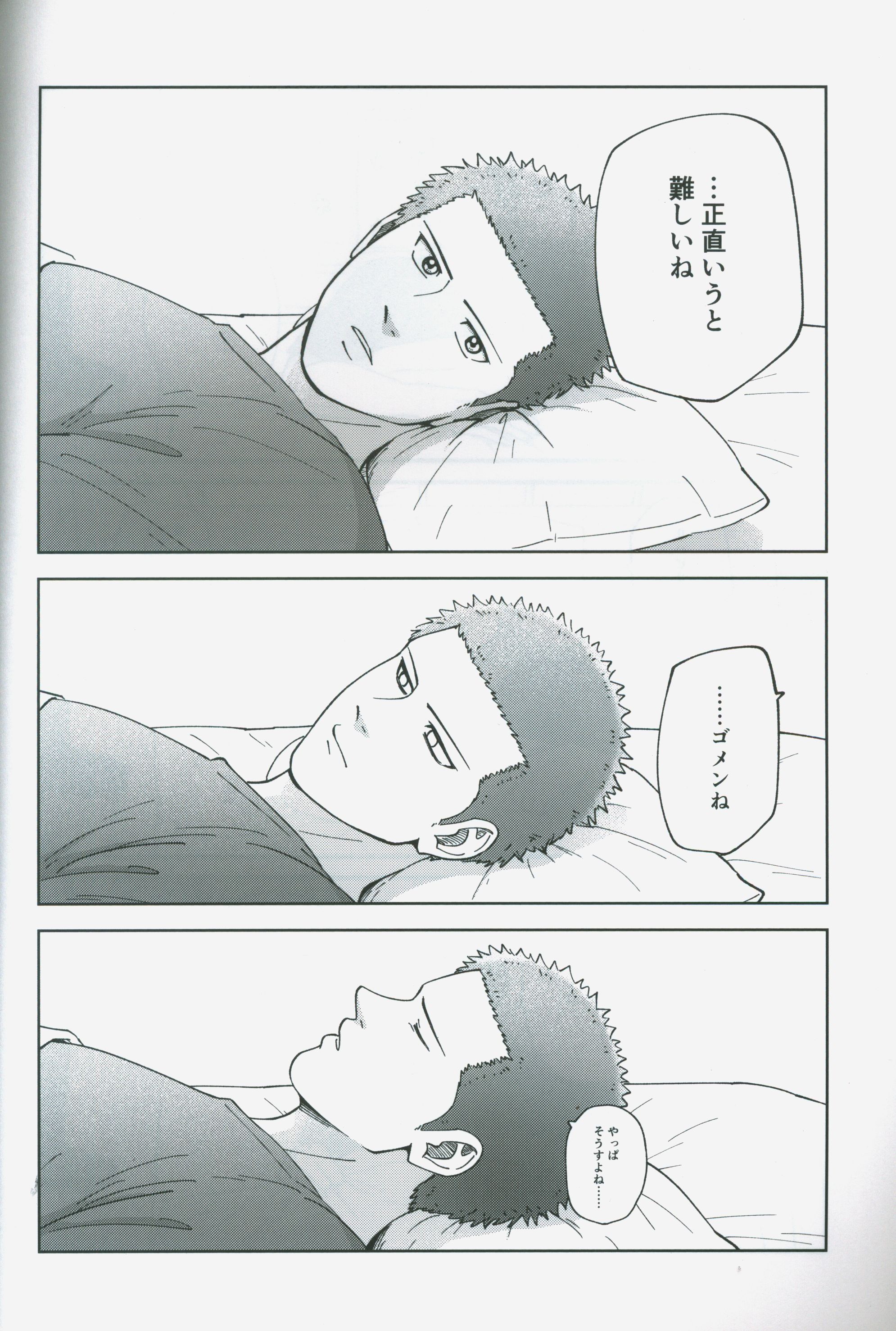 LN (田山) Twilight kiss | まんだらけ Mandarake