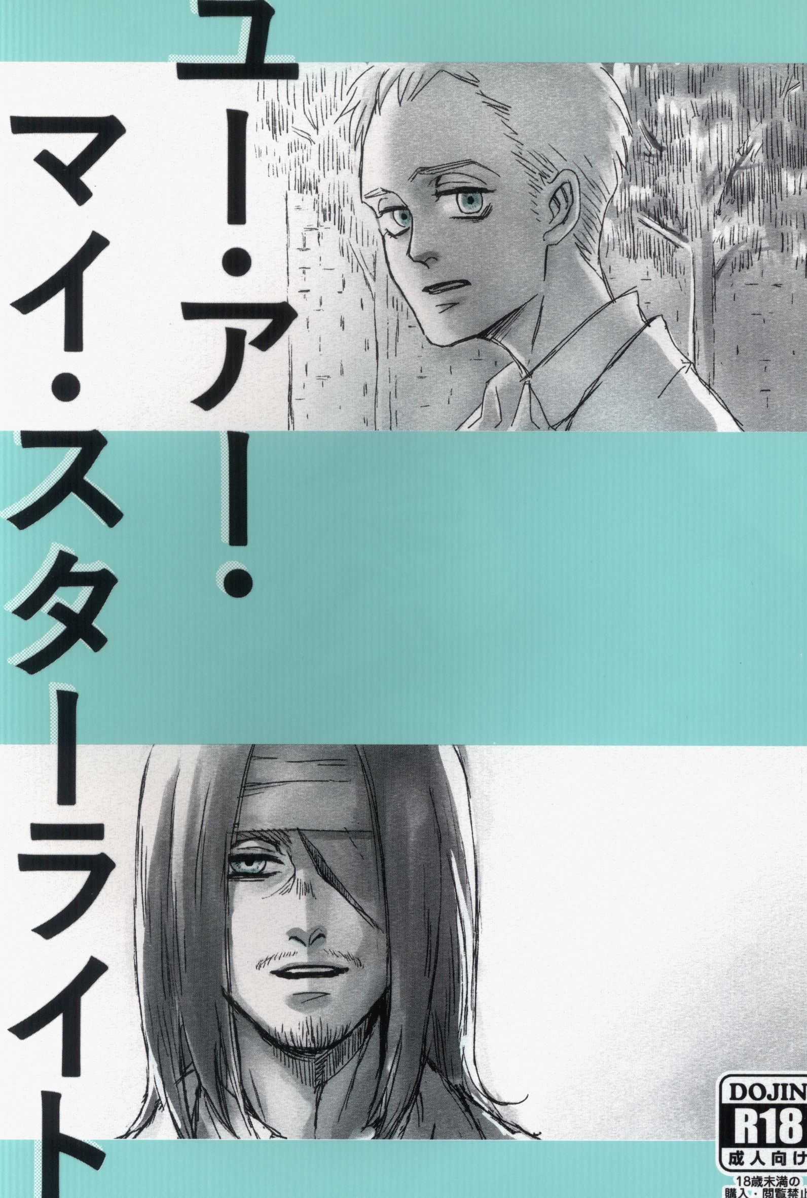 You Are My Starlight | Mandarake Online Shop