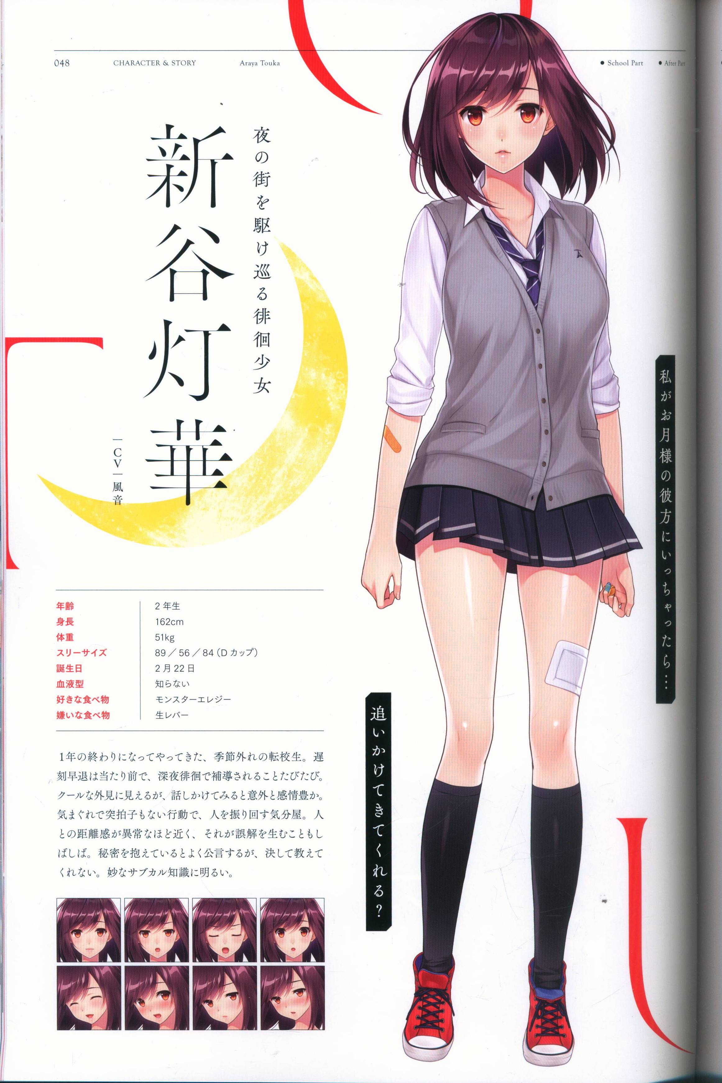 tone work's (恋泉天音) 月の彼方で逢いましょう&SweetSummerRainbow ビジュアルファンブック | まんだらけ Mandarake