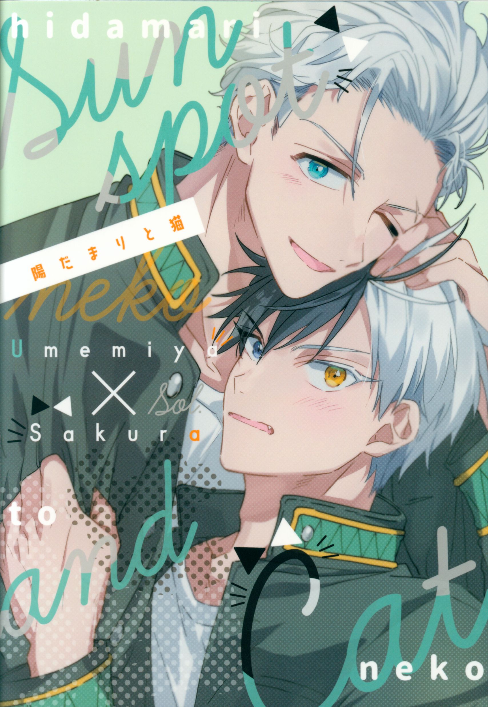 SOL (YO) 陽だまりと猫 | まんだらけ Mandarake