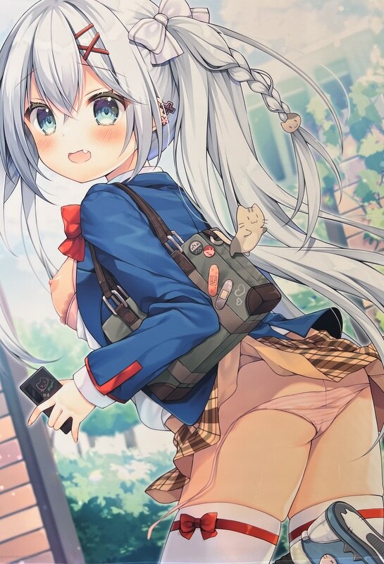 メロンブックス (いずみゆひな) うりぼうざっか店 WスエードB1タペストリー Congratulation! (成年)※開封・袋イタミ | まんだらけ Mandarake