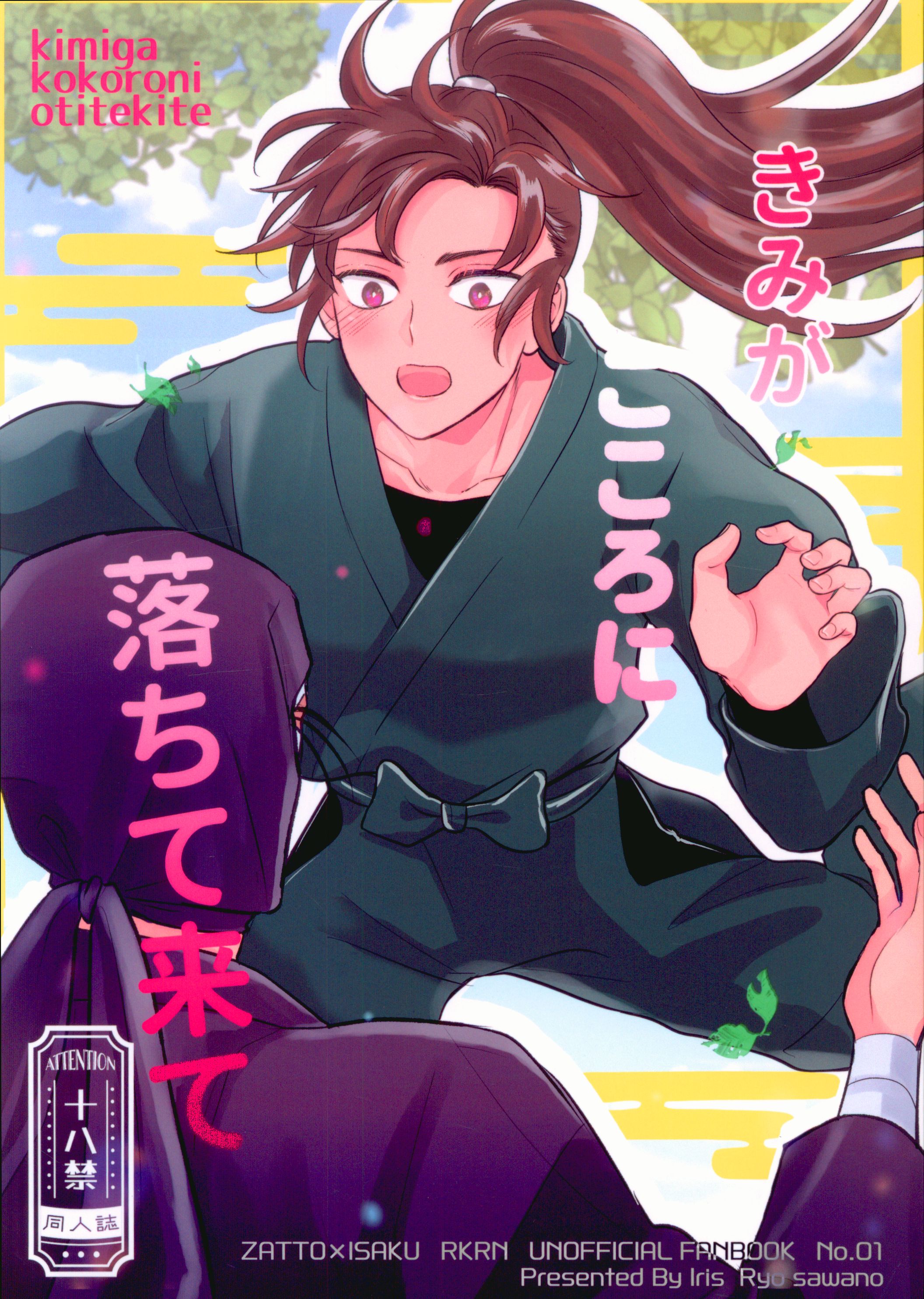 Iris (澤ノ遼) きみがこころに落ちて来て | まんだらけ Mandarake