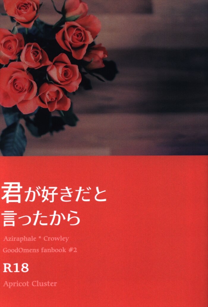 Apricot Cluster (すう) 君が好きだと言ったから | まんだらけ Mandarake
