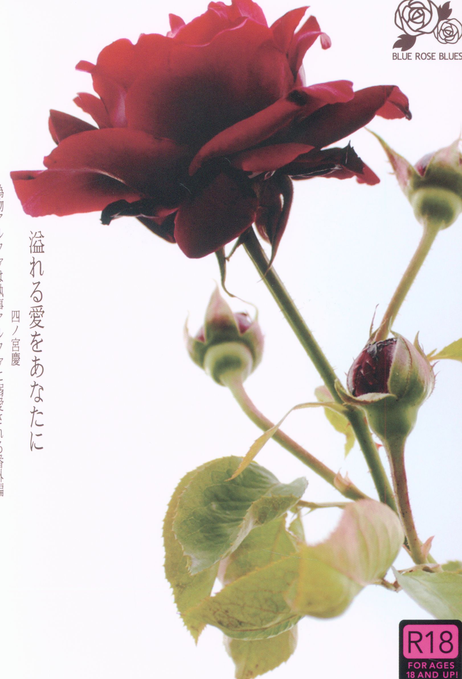 BLUE ROSE BLUES (四ノ宮慶) 溢れる愛をあなたに | まんだらけ Mandarake