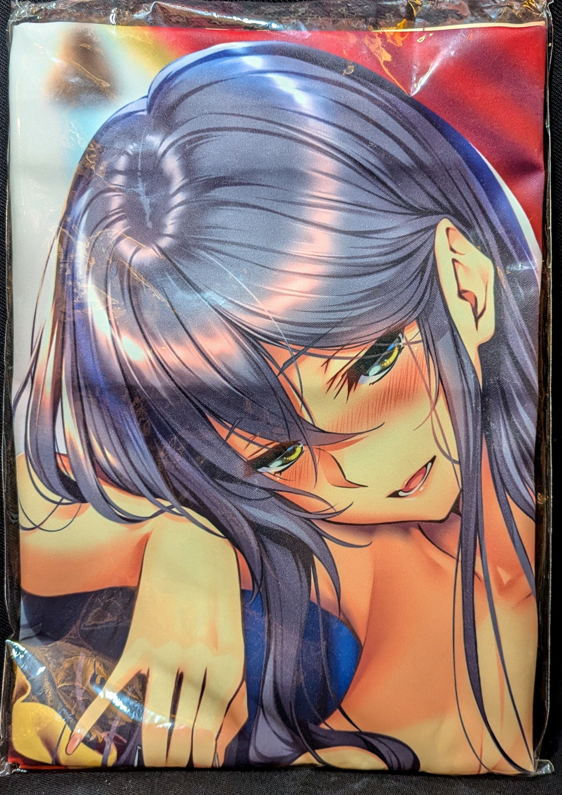 Core Magazine (Piro Mizu) Megastore 25th Anniversary Illustration B2 Tapestry Side B | Mandarake ...