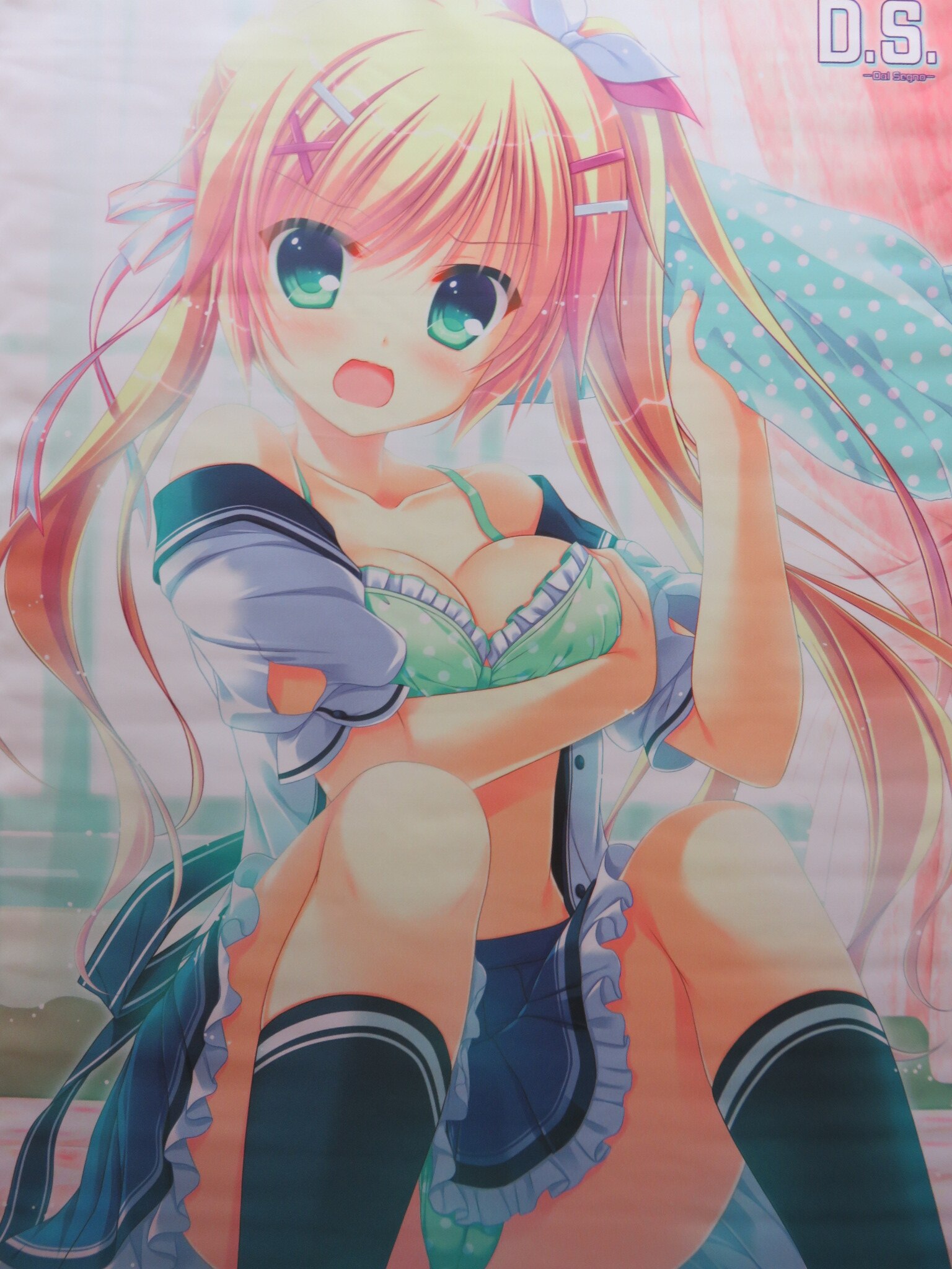 CIRCUS D.S.-Dal Segno- メロンブックス特典B2タペストリー | まんだらけ Mandarake
