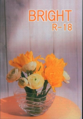 センターポイント (草菜乃) BRIGHT | まんだらけ Mandarake