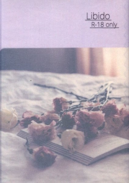 夕時雨と鯛焼き (月見琴音/鴇雨らる) Libido *夢本/合同誌/文庫 | まんだらけ Mandarake