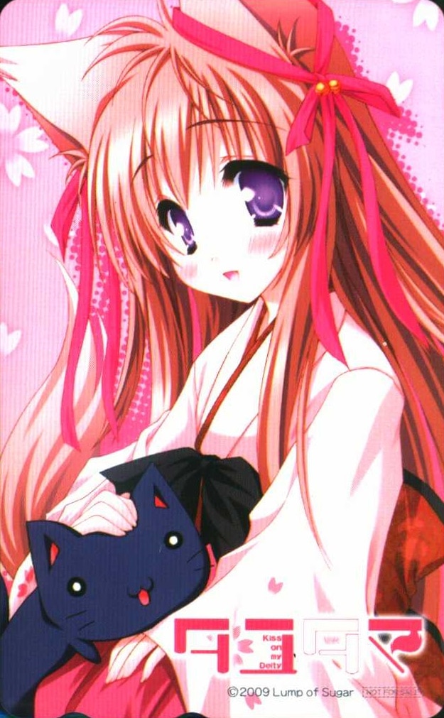 Lump of sugar Tayutama Kiss on my Deity (Moegihara Fumitaka) Sofmap DVD/BD complete volume ...
