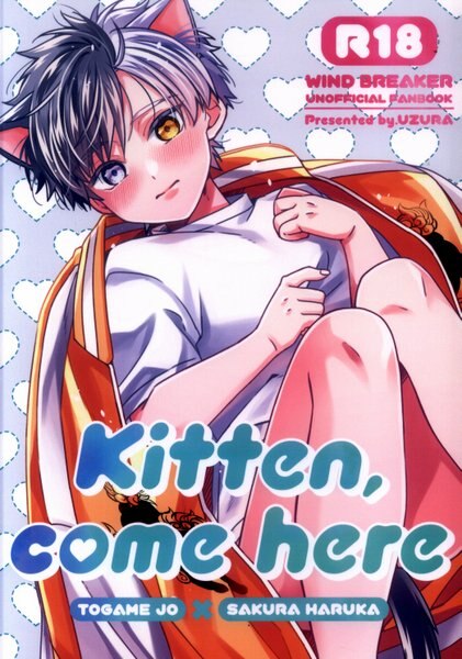 うずら (めご) Kitten come here | まんだらけ Mandarake