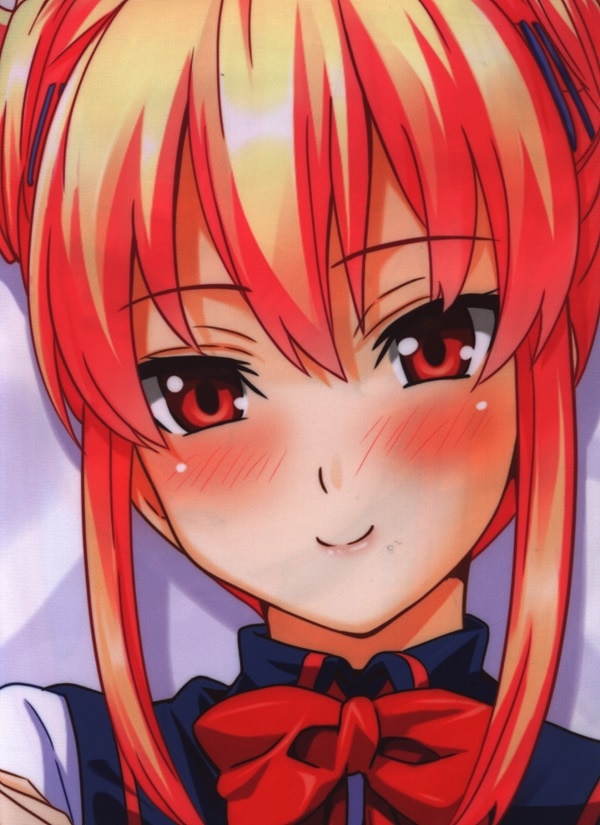 Pin-Point (武田弘光) あなたに裸であたためられたい 沙希ちゃん抱き枕カバー | まんだらけ Mandarake