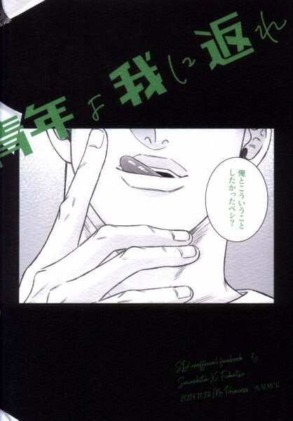 Mr.Princess (火星珍宝) 青年よ我に返れ | まんだらけ Mandarake