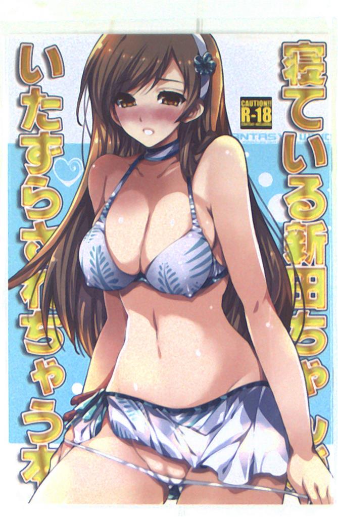 FANTASY WIND/HIYOKO CROWN (しなの優良) 寝ている新田ちゃんがいたずらされちゃう本 | まんだらけ Mandarake