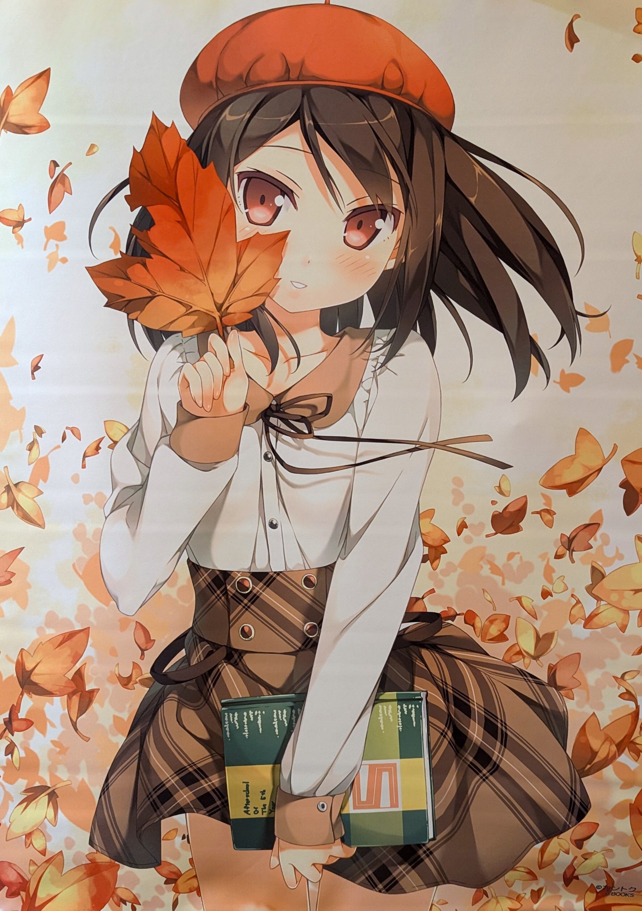 K-BOOKS (カントク) B2クロスポスター | まんだらけ Mandarake