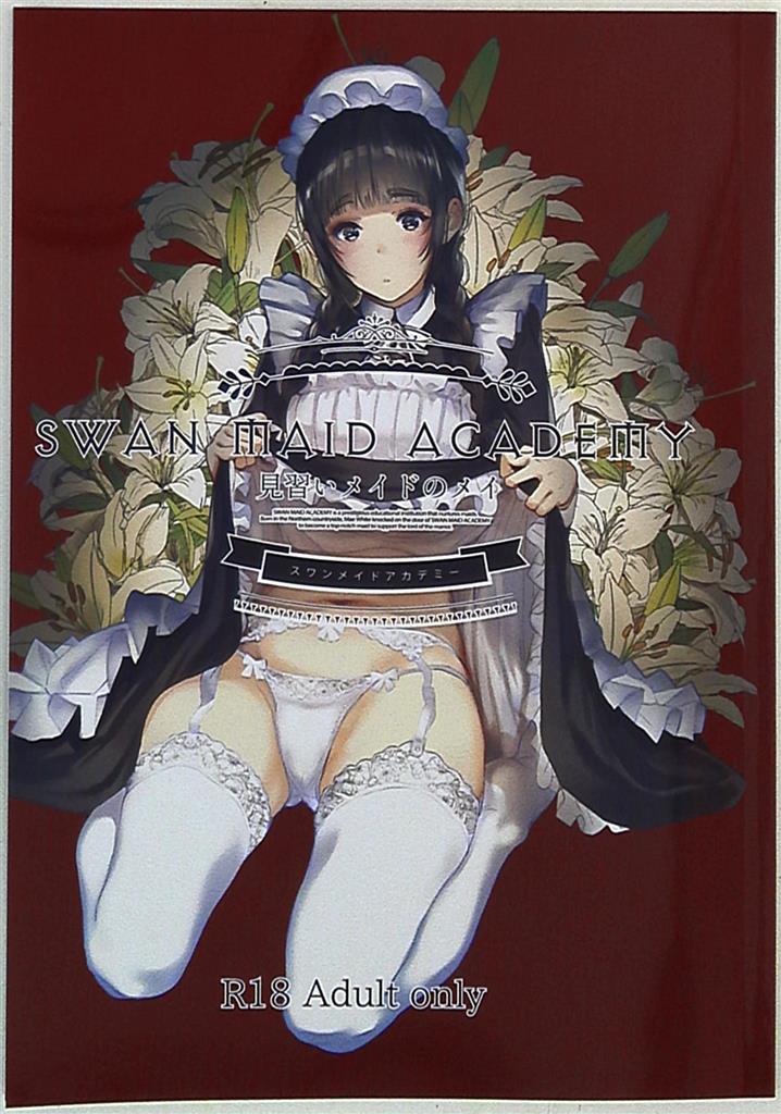 蔵鴨 (月ノ輪ガモ) 「オリジナル」 SWAN MAID ACADEMY | まんだらけ Mandarake