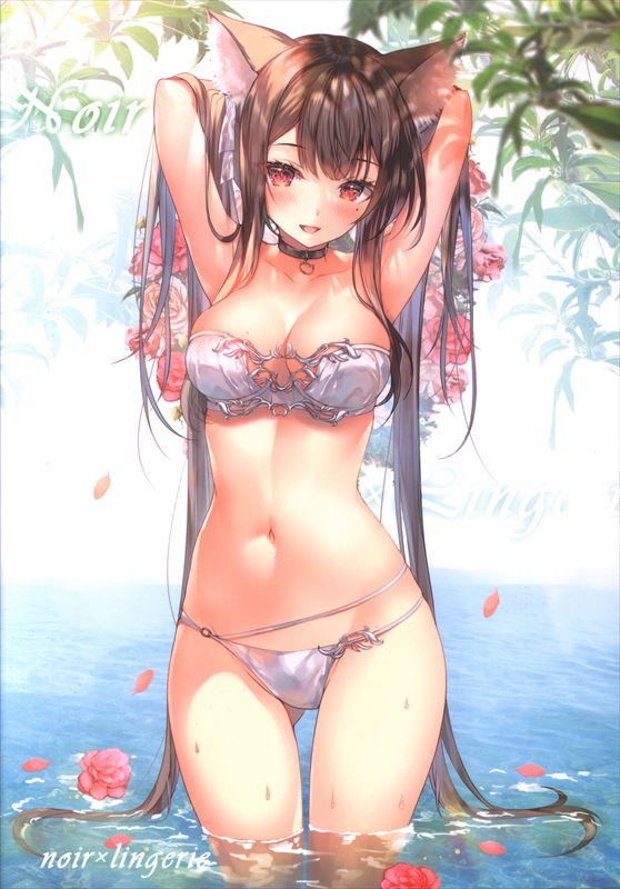 Pion (みわべさくら) Noir×Lingerie | まんだらけ Mandarake