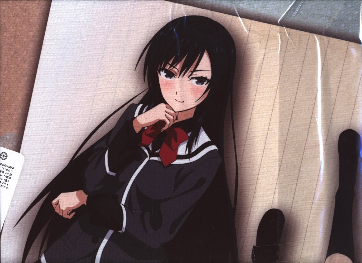 Minato Soft (Matsuryu) "Girls aim for the wilderness" Animate Winter AV Festival Bonus Item ...