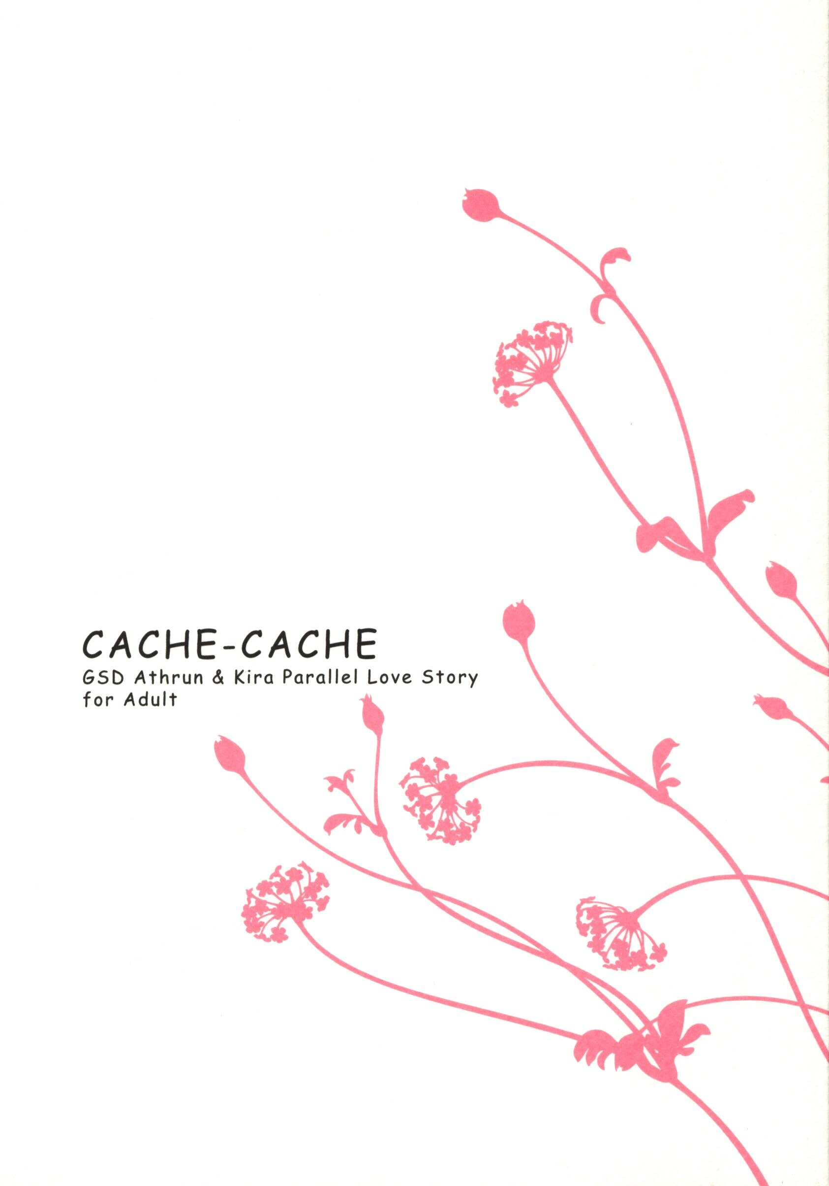 真空えねるぎー (てです) CACHE-CACHE | まんだらけ Mandarake