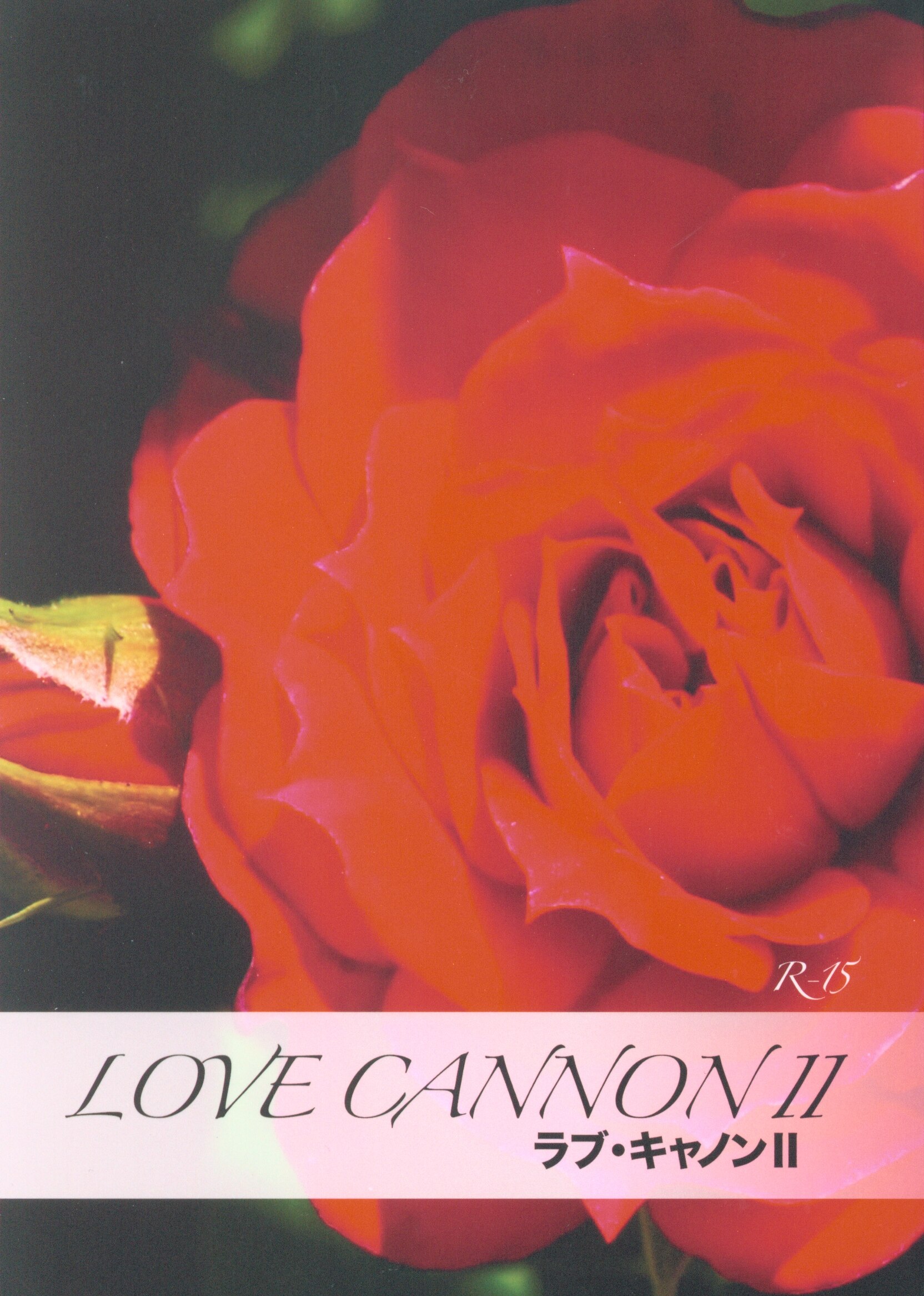 小籠包破竹団 (bamboo) LOVE CANNON Ⅱ | まんだらけ Mandarake